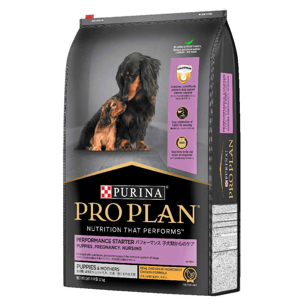 Pro Plan Performance Starter Mothers & Puppies | Pawsible Solutions Pet ...
